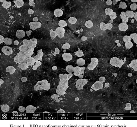 Figure 11 From Controlled Growth Of Bismuth Ferrite Multiferroic Flowers Semantic Scholar