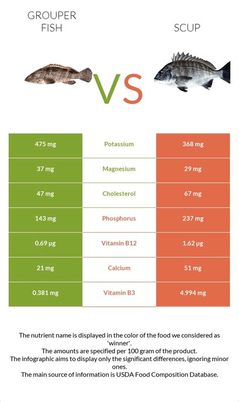 Grouper Vs Scup — In Depth Nutrition Comparison