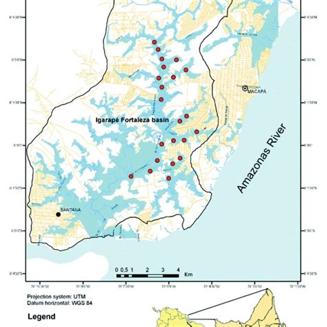 10 Ciclo De Vida De Polystoma Integerrimum A Ranas Adultas B