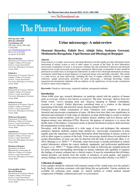 Pdf Urine Microscopy A Mini Review