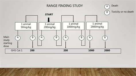 Acute Dermal Toxicity Studies Pptx
