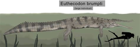 Euthecodon Brumpti By Sobek1926 On Deviantart