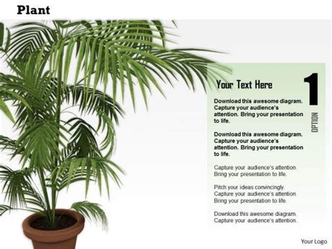 Stock Photo Plant Trees Save Earth Conceptual Image PowerPoint Slide