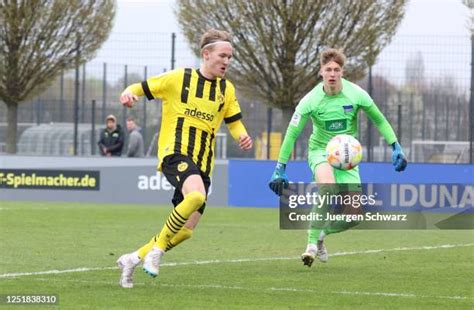 Tim Goller Photos And Premium High Res Pictures Getty Images