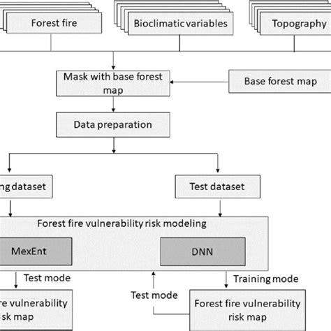 Flow Diagram For Processing Data Used To Model Forest Download Scientific Diagram
