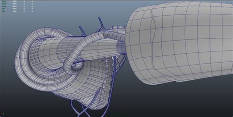 Human Boby Muscle Tissue 3d Model Turbosquid 1826264