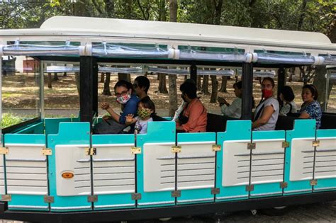 Trenecito De Chapultepec Cuánto Cuesta Y Qué Lugares Emblemáticos