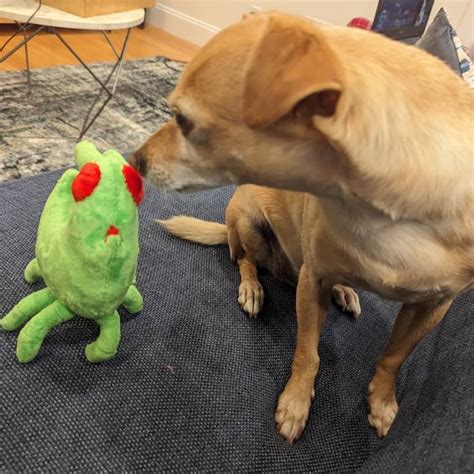 Grounded Inspired Aphid Plush Etsy