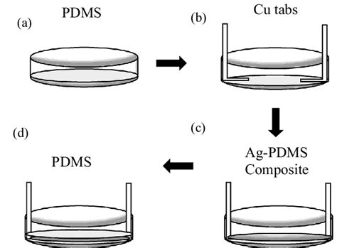 Schematic Illustration For Preparing The Sandwich Structure A Pdms And Download Scientific