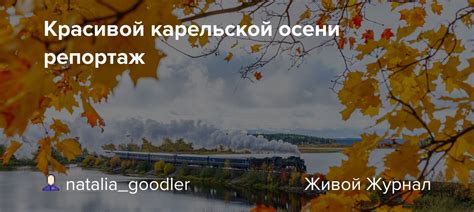 Красивой карельской осени репортаж Natalia Goodler — Livejournal