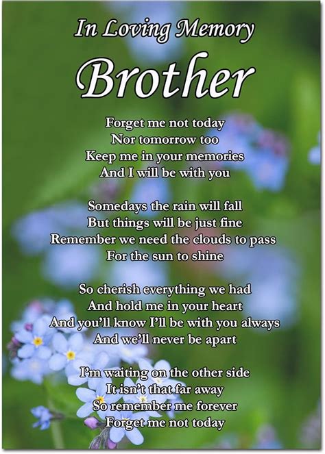 Love Brother Funeral Poems 100 Best Celebration Of Life Poems For