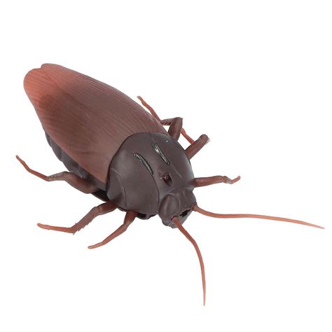 Remote Control Cockroach Toy Lifelike High Simulation Delicate Texture Easy Operation Fake