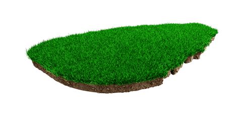 Grass Top View Pngs For Free Download