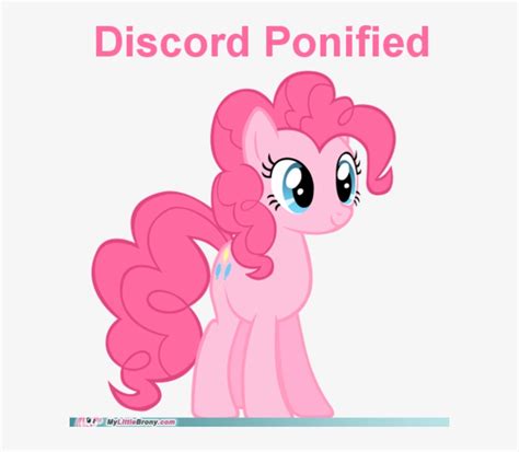 Discord Mlp Png 600x635 Png Download Pngkit