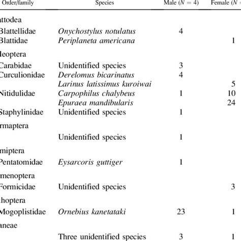 Female Cone And Ovules Of Cycas Revoluta During The Pollination Period