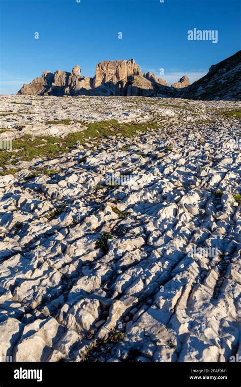 Karst Limestone Rock At Donna Bush Blog