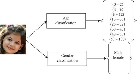 Classification Of Age And Gender Download Scientific Diagram