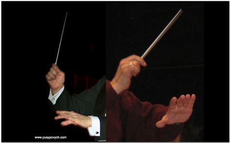 Symphony Conductor Stick