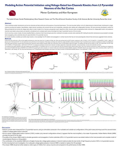 Pdf Modeling Action Potential Initiation Using Voltage Gated Ion