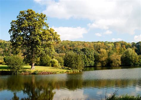 反射高清图片 泰晤士河 泰晤士河图片免费下载 5092401925 千图网pro