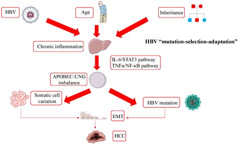 Epidemiological Characteristics And Precise Prophylaxis And Control Of