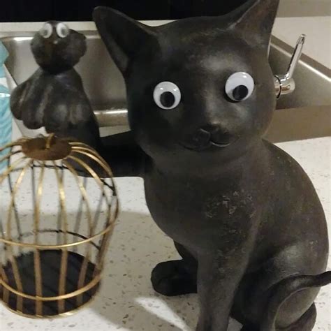 Anthony Olson Bigelow Youtube