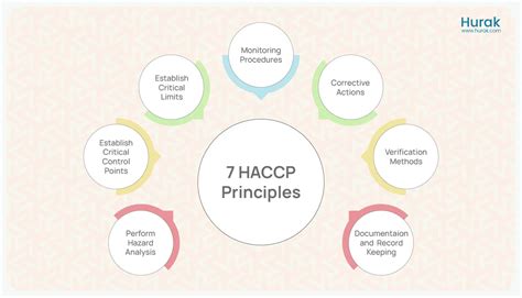 The Haccp System Process And Principles Hurak