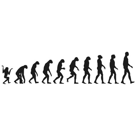Evolution Wall Sticker Wall
