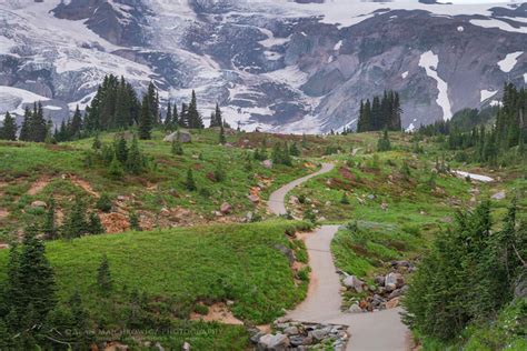 Paradise Meadows Mount Rainier Photography Trip Planning