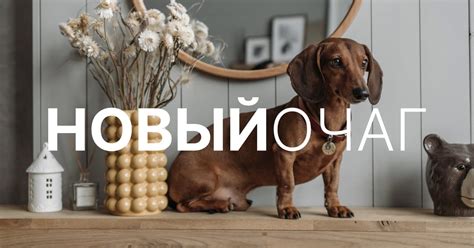 Как отметить Новый год | Журнал Новый очаг