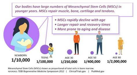 Stem Cell Therapy Revolution Hyperbaric United States
