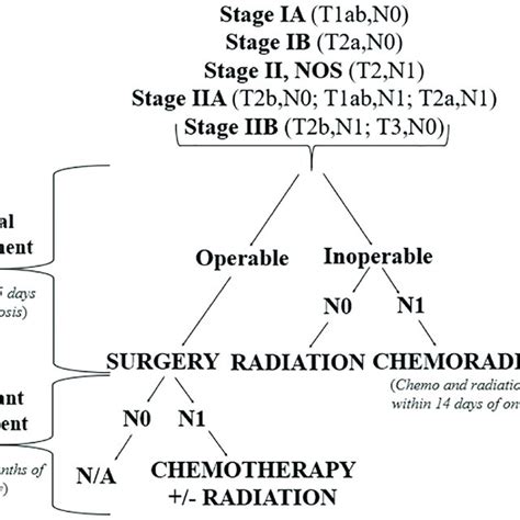 Nsclc Gct Based On Nccn Guidelines Nsclc Recommended Treatment Download Scientific Diagram