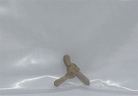 16 113 Test Cock