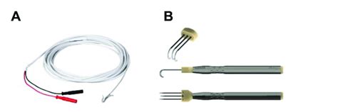 A Delta Electrode B Tripolar Hook Probe Download Scientific Diagram