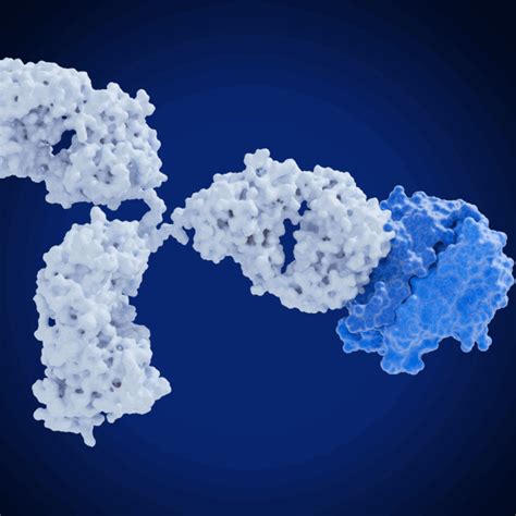 Enteric Plus Stool Transport Kit Para Pak®