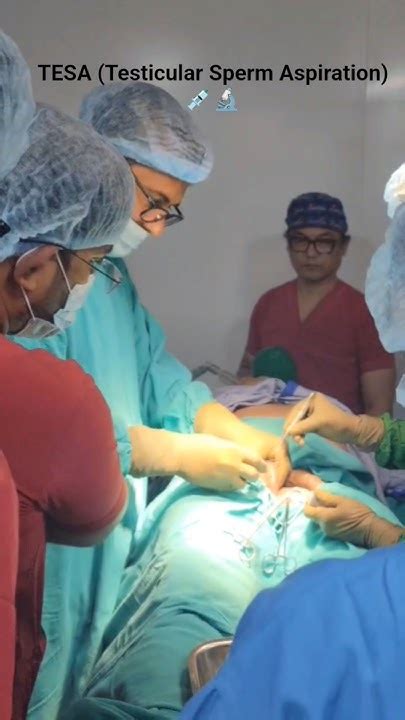 Testicular Sperm Aspiration Tesa Procedure Reproductivetechnology