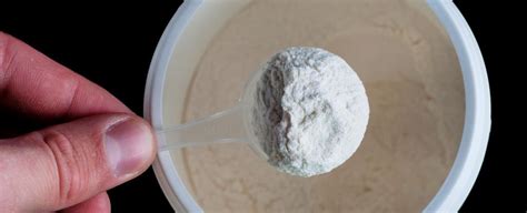 Cutting Back On One Amino Acid Increases Lifespan Of Middle Aged Mice Up To 33 Michael Mcvicker