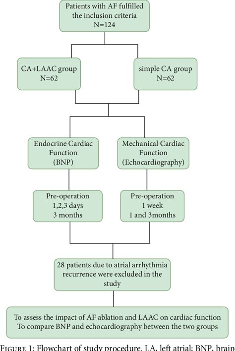Figure 1 From Impact Of Left Atrial Appendage Closure Combined With