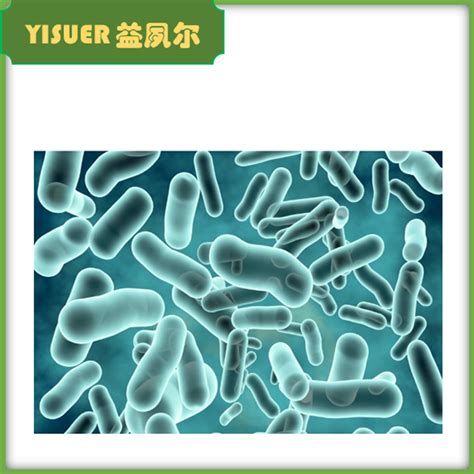 Bifidobacteria Esubio