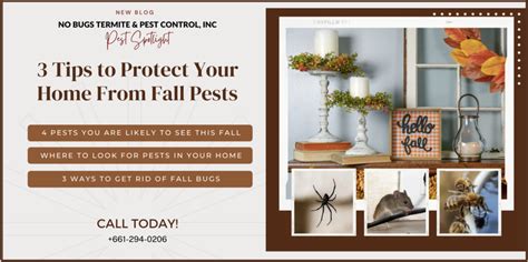 Fall Pest Control No Bugs