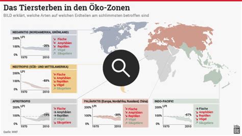 Täglich Bis Zu 14 Stunden Sex Diese Maus Rammelt Bis Zum Umfallen News Bildde