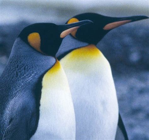 Level 7 Code Solver Apeirophobia Resources