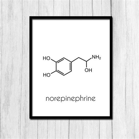 Norepinephrine Molecule Art Digital Download Norepinephrine Print Printable Art T For
