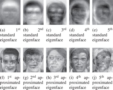 Figure 2 From Face Recognition Using Eigenfaces Geometrical Pca Approximation And Neural