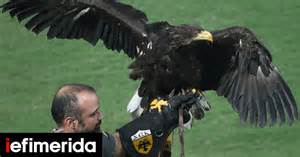 ΑΕΚ Πώς πήρε το όνομά του ο αετός Οδυσσέας Η θλιβερή ιστορία από την Πόλη Iefimerida Gr