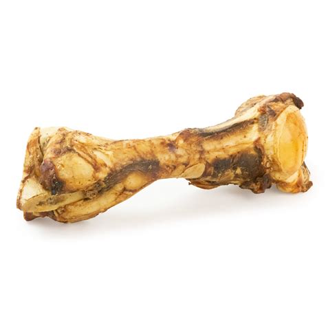 Jurassic Bone Large Blus Raw And Natural