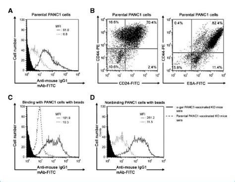 Production Of Abs Against Cancer Stem Cells Assessed By Flow Cytometry