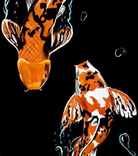 Design Principle Task 1