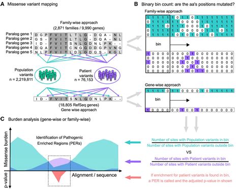Identification Of Pathogenic Variant Enriched Regions Across Genes And