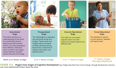 What Are Piagets Four Stages Of Cognitive Development Piagets Four